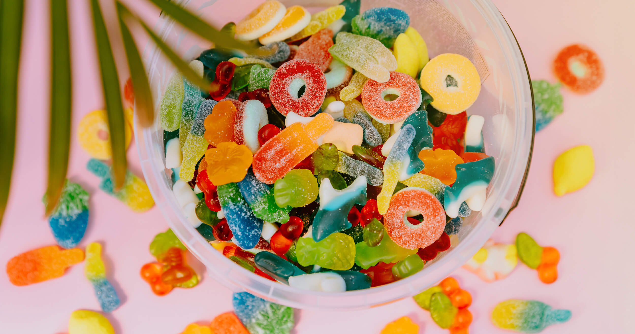 KandJu Bonbons | Candies